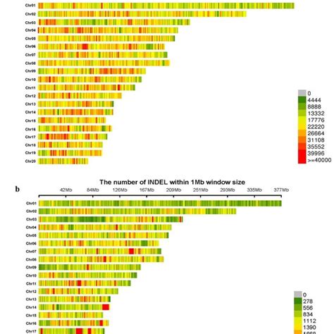 Distribution Of Single Nucleotide Polymorphisms Snps A And Indels