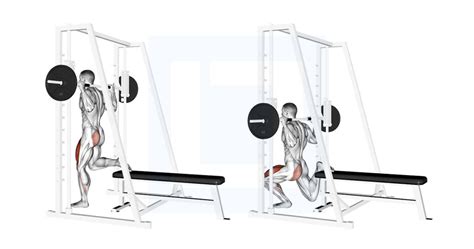 Smith Single Leg Split Squat Guide Benefits And Form