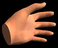 Hand Models Godot XR Tools