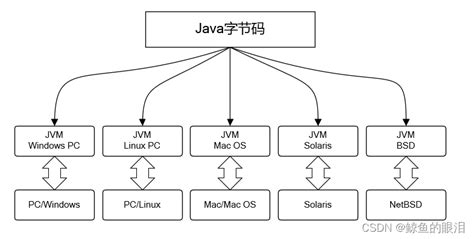 Java常见笔试题之jdkandjreandjvm分别是什么以及三者之间的关系笔试jvm Csdn博客