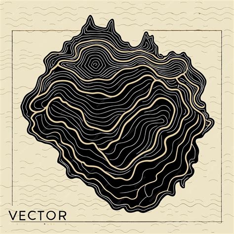 Patrones De Mapas De Líneas Topográficas Vector Premium