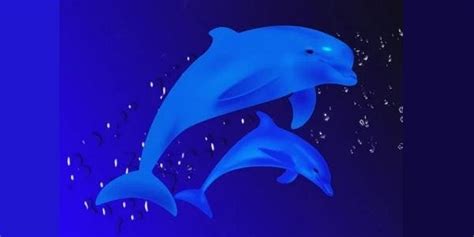 Dolphin Emulator Steam Release Nintendo Dmca By Techdigipro Medium