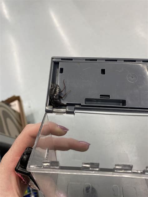 Didnt Know These Had To Be Locked Up To Bug Warning Rwalmart