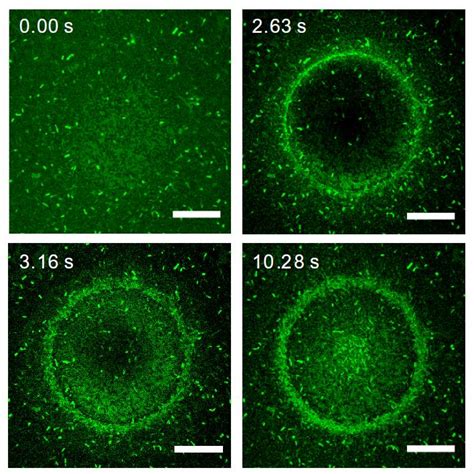 structured silicon for revealing transient and integrated signal
