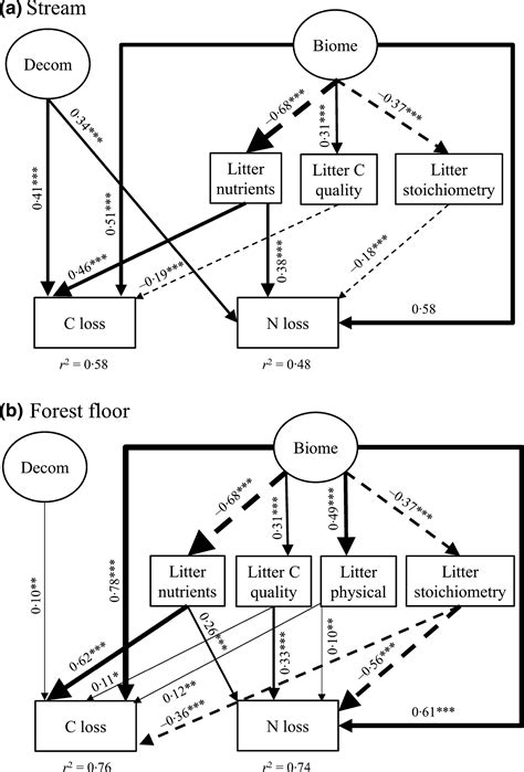 The Importance Of Litter Traits And Decomposers For Litter Decomposition A Comparison Of