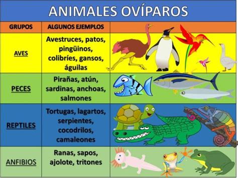 Aprende la Clasificación de los Animales según su Desplazamiento para