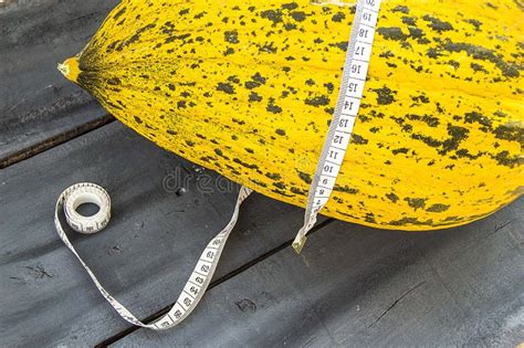 Full Immature Small Melons And Fully Ripe Melon Pictures Stock Image Image Of Agriculture