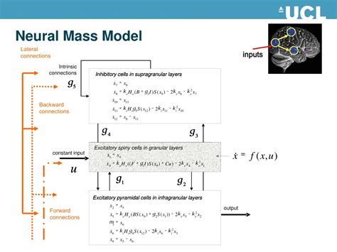 Ppt Dynamic Causal Model For Steady State Responses Powerpoint
