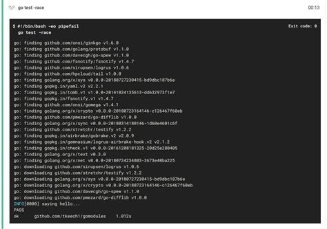 Go Modules And Circleci Rgolang