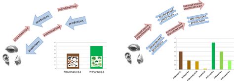 Figure 1 From Perception Is In The Details A Predictive Coding Account