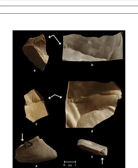 Experimental Production Of Bending And Radial Flake Fractures And Implications For Lithic