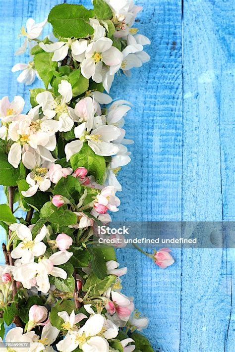 추상 꽃꽂이 햇볕이 잘 드는 배경 배너 텍스트 꽃 휴일 카드 여름 인사말 개념 선택적 초점을위한 공간이있는 정물 아름 다운 봄