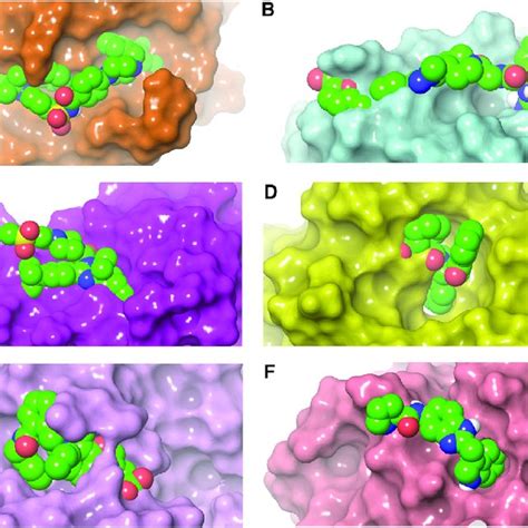 Examples Of Small Molecule Ppi Modulators In Clinical Use Or Currently Download Table