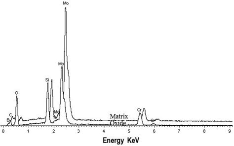 Semeds Cross Section Analyses Of The Oxidized Sample M3 At 1000 °c In