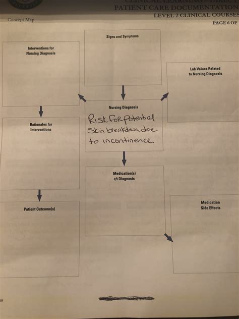 Solved Concept Map Patient Care Documentation Level 2