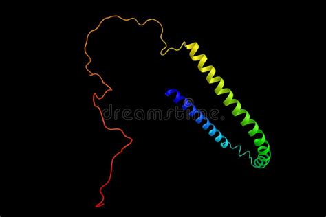 structure du l alpha synuclein 3d qui fonctionne illustration stock