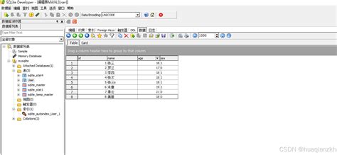 Sqlite Developer使用说明sqlitedeveloper Csdn博客
