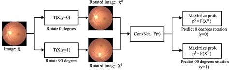 Figure 2 From Multi Label Classification Of Fundus Images With Graph