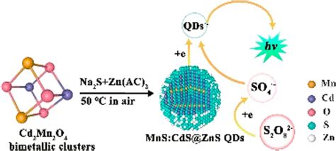 Mns Cds Zns 核壳量子点的高效电化学发光用于超灵敏检测 Microrna Analytical Chemistry X Mol