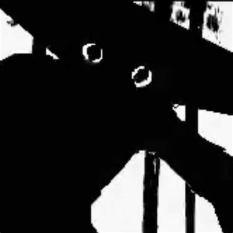 Stream Boisvert Burningmp4 By Nesstheskeleton1987 Listen Online