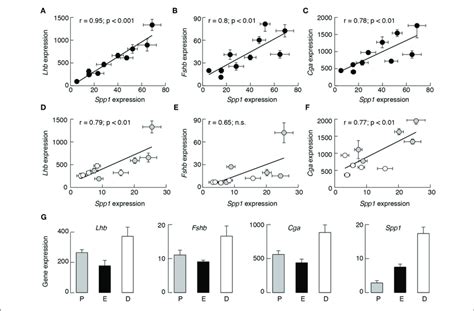 the expression of spp1 correlates with expression of other
