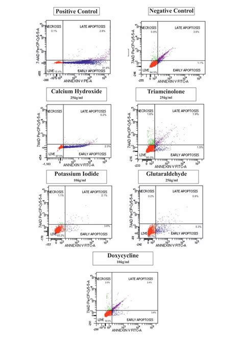 Representative D Flow Cytometry Dot Plot Of Data Derived From FITC AnV Download Scientific