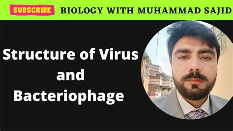 Structure Of Virus And Bacteriophage Classification Youtube