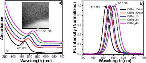 Figure 1 From Water Soluble Cdtecds Coreshell Semiconductor