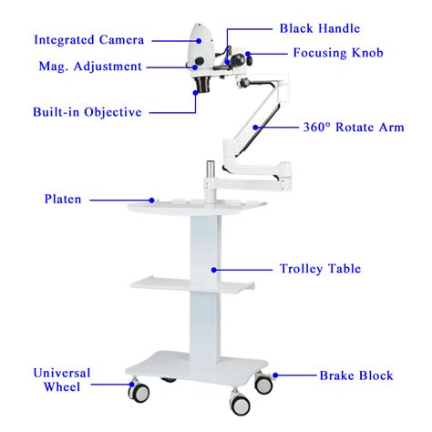 Vms105cd Dental Microscope Operating With Integrated Camera And Image
