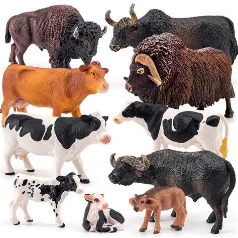 Difference Between An Ox And A Cow