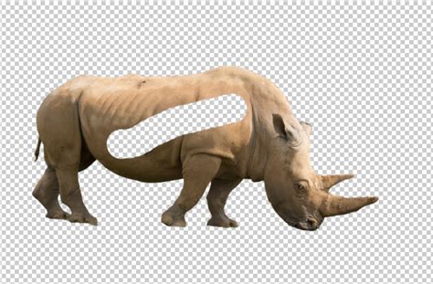 Photoshop Layer Masks Tutorial