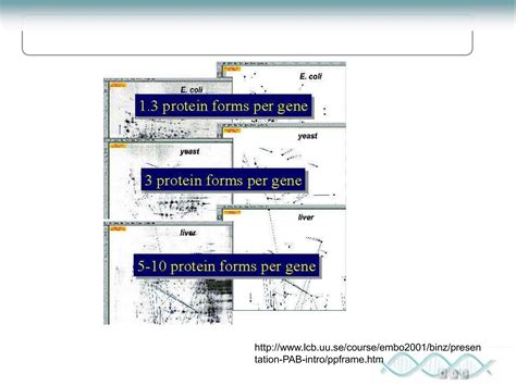 Proteomics Lecture 1 Introduction To Proteomics Ppt