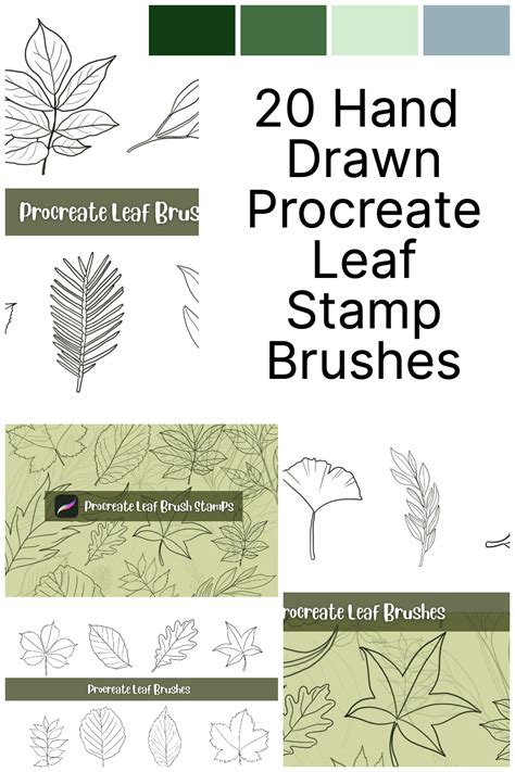 20 Beautiful Hand Drawn Procreate Leaf Brush Stamps Artsydee