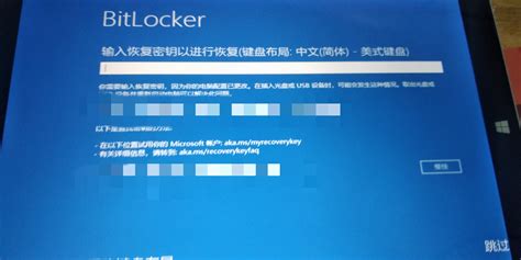 解决bitlocker反复提示恢复密钥正确而无法进入系统的问题 Izwb 003 博客园