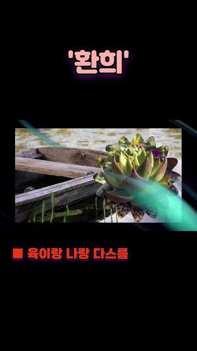 다육이름알아가기 창다육매력색감로제트 창다육대표수형알아보기 신품종창다육 다육일기다소곳한 로제트 깨멍 살짝살짝~~환희shorts Youtube