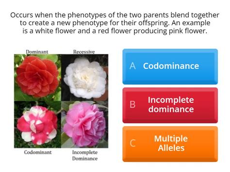patterns of non mendelian inheritance quiz