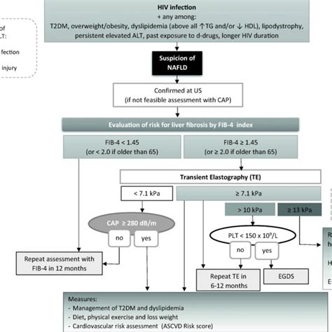 Flow Chart For Diagnosis Management And Follow Up Of NAFLD And Download Scientific Diagram