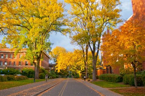 Oregon State University Campus Fall Leaves Corvallis Oregon Oregon