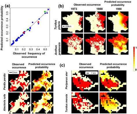 Ndm Prediction Of Species Occurrence And Spatial Distribution At Three Download Scientific