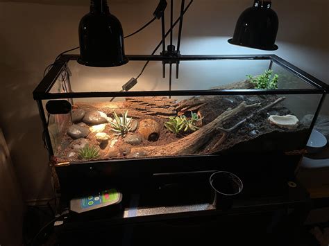 New Enclosure setup!! : r/leopardgeckos