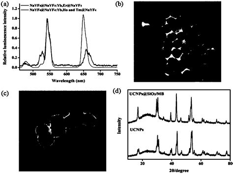 Targeted Photodynamic Nano Probe Based On Upconversion Nano Particles And Ultrathin Silicon