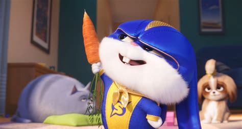 Revisa Nuestra Reseña De La Vida Secreta De Tus Mascotas 2