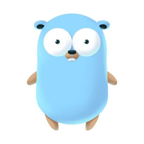 Senior Level Backend Golang Engineer Fully Fully Remote In The Us Up To 180000 The Company
