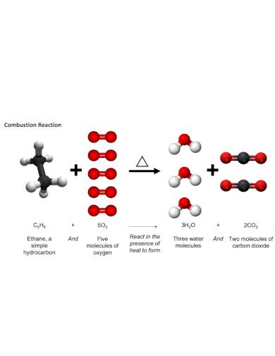 14 Combustion Reaction Examples