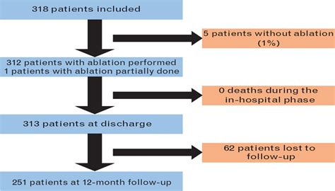 Atrial Fibrillation Ablation Long Term Esc Ehra Eorp Afa Lt