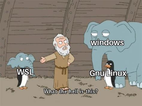 Wsl Meme Rlinuxmemes