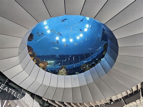 Seattle Aquarium Ocean Pavilion Information Tickets And Reviews