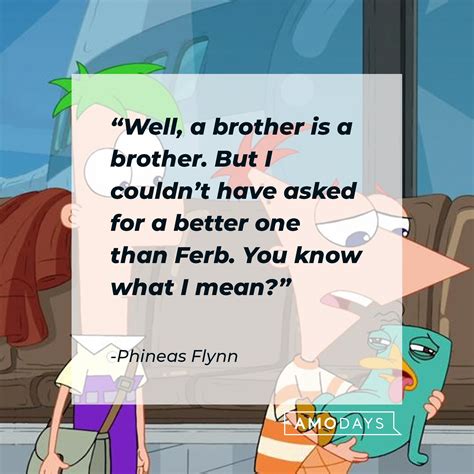 60 Phineas And Ferb Quotes To Inspire Your Own Colossal Summer Project