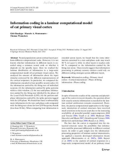 Pdf Information Coding In A Laminar Computational Model Of Cat