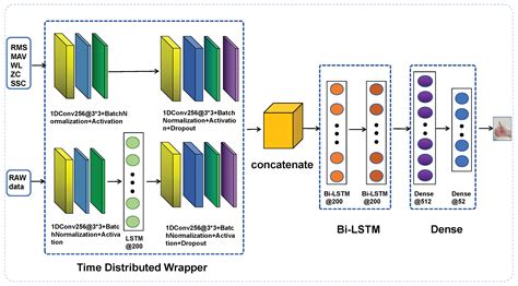 Dual Stream Long Short Term Memory Feature Fusion Classifier For Surface Electromyography